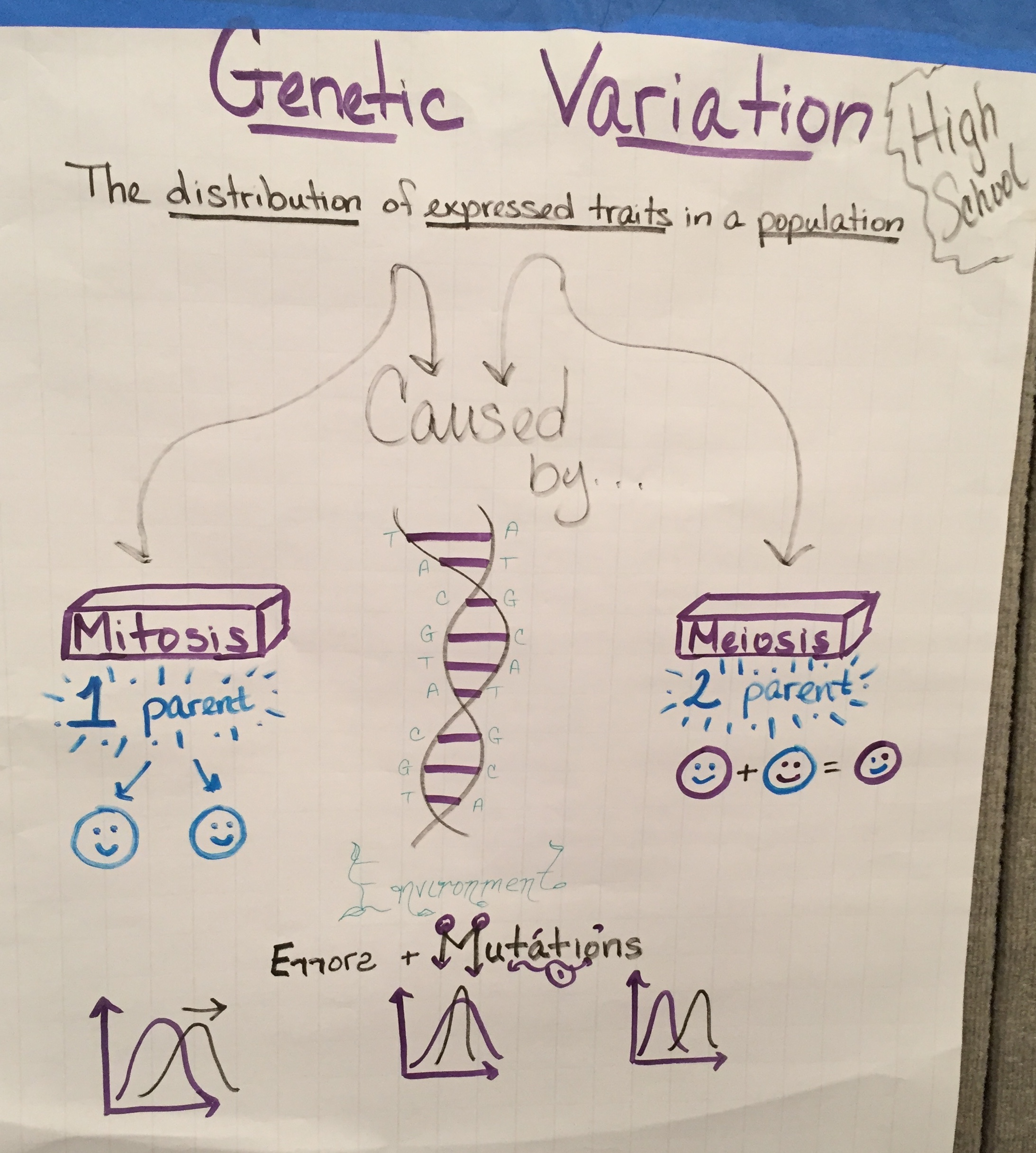 Inheritance and Variation — The Wonder of Science