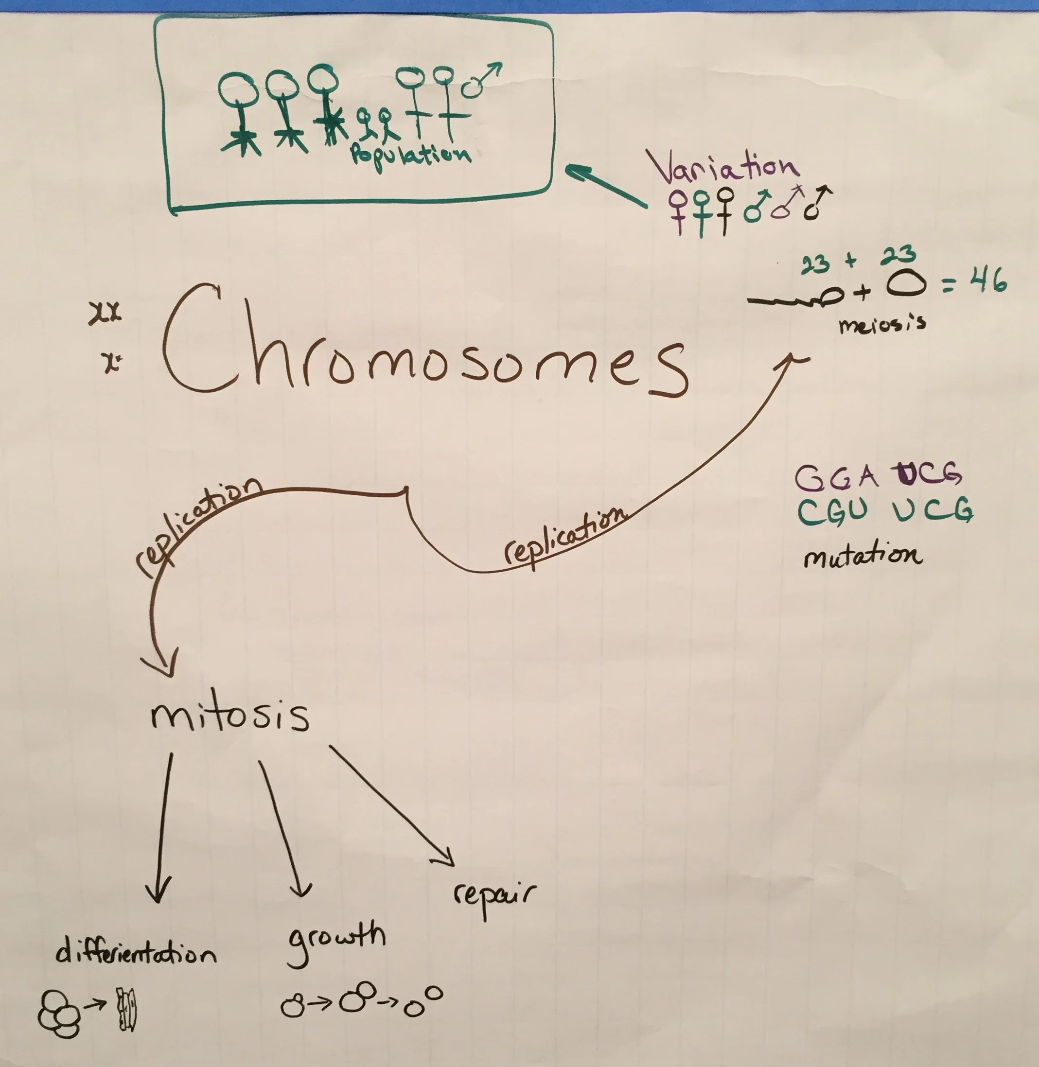 HS-LS3-2 — Instructional Resources — The Wonder of Science