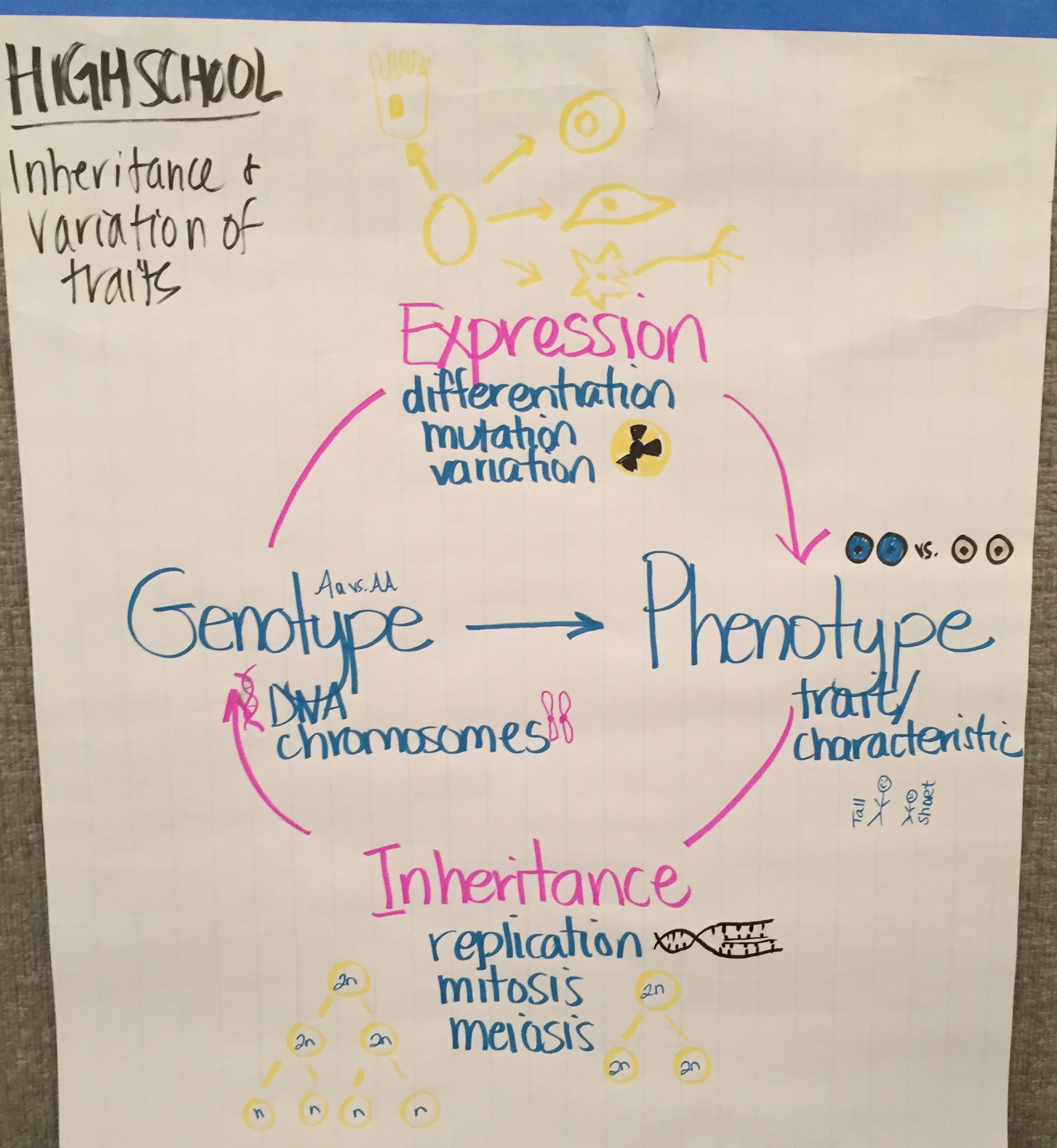 Inheritance and Variation — The Wonder of Science