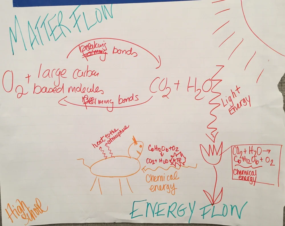 Matter and Energy in Life — The Wonder of Science