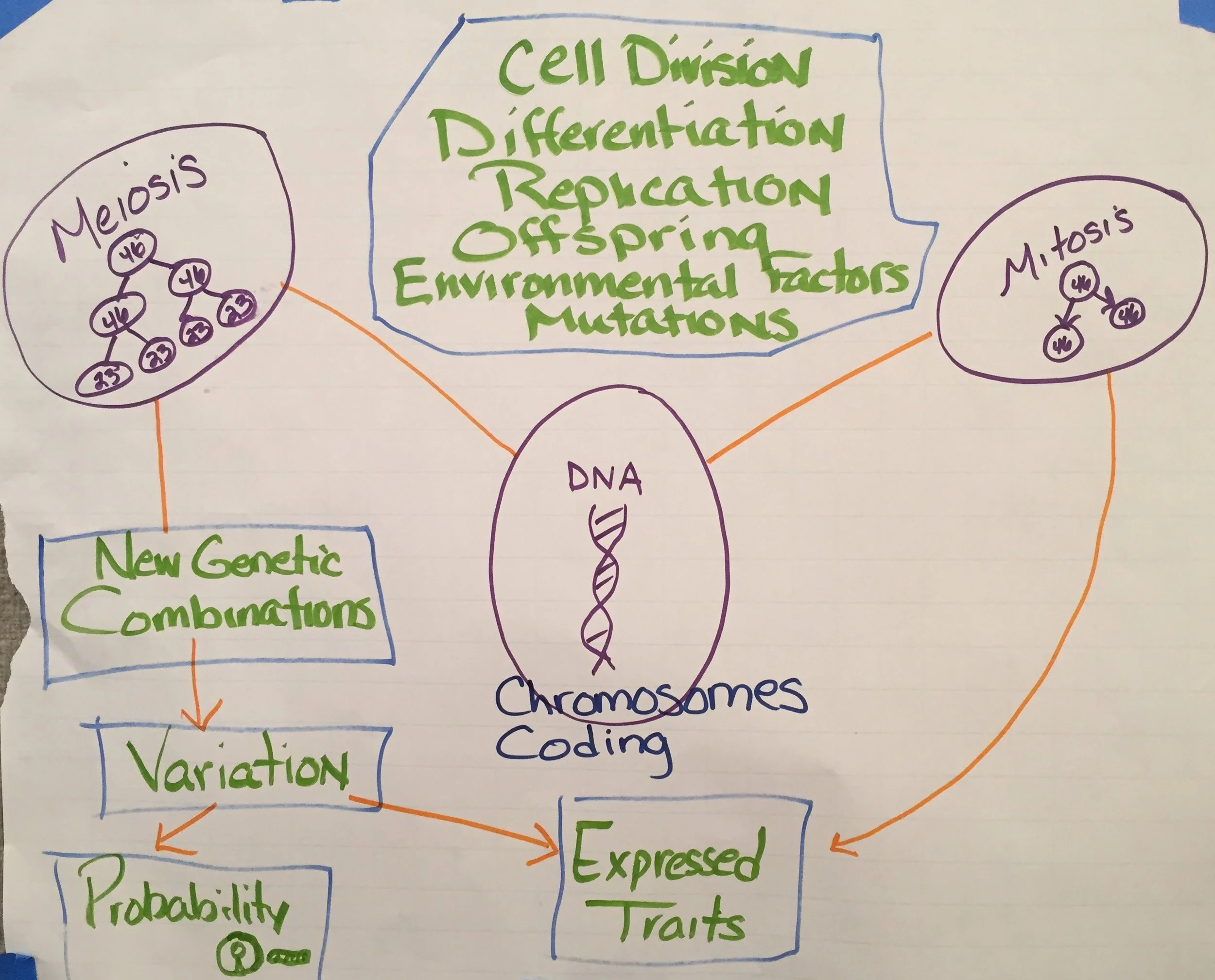 Inheritance and Variation — The Wonder of Science