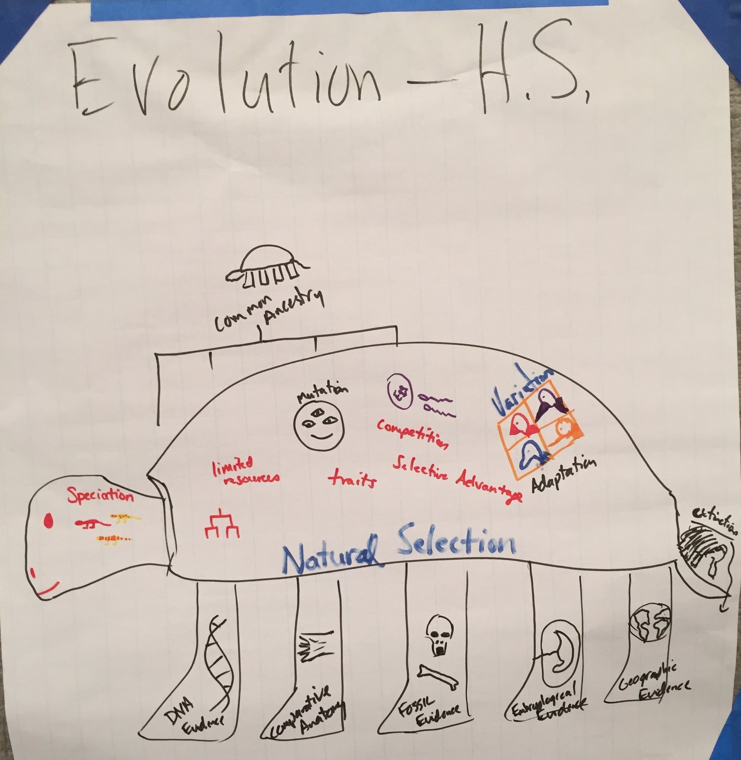 Natural Selection and Evolution — The Wonder of Science