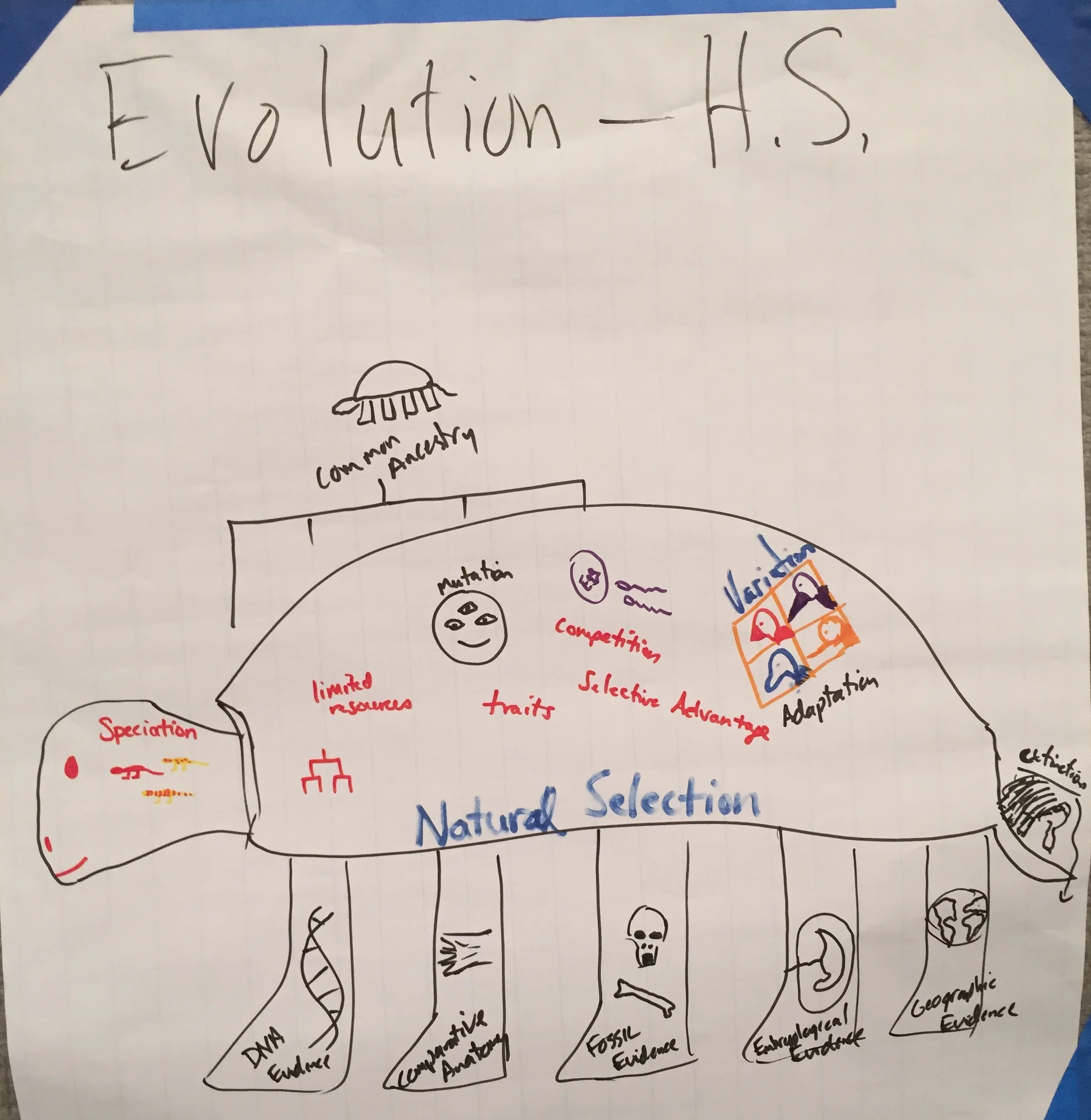 Natural Selection and Evolution — The Wonder of Science