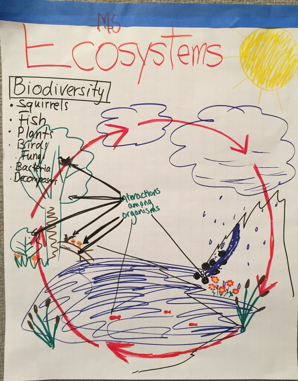 Ecosystems — The Wonder of Science