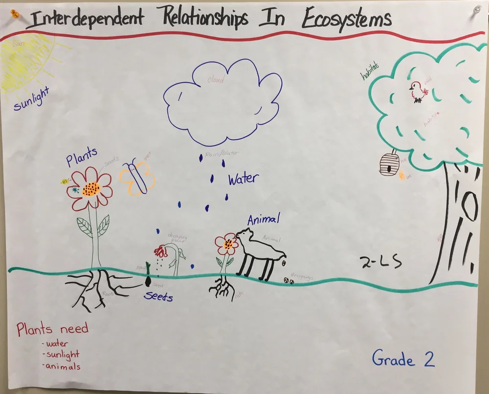 Biodiversity and Ecosystems — The Wonder of Science