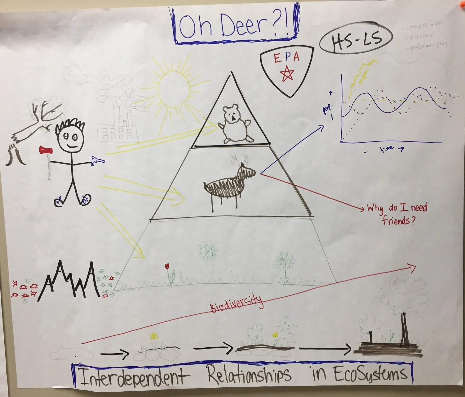 Ecosystems — The Wonder of Science