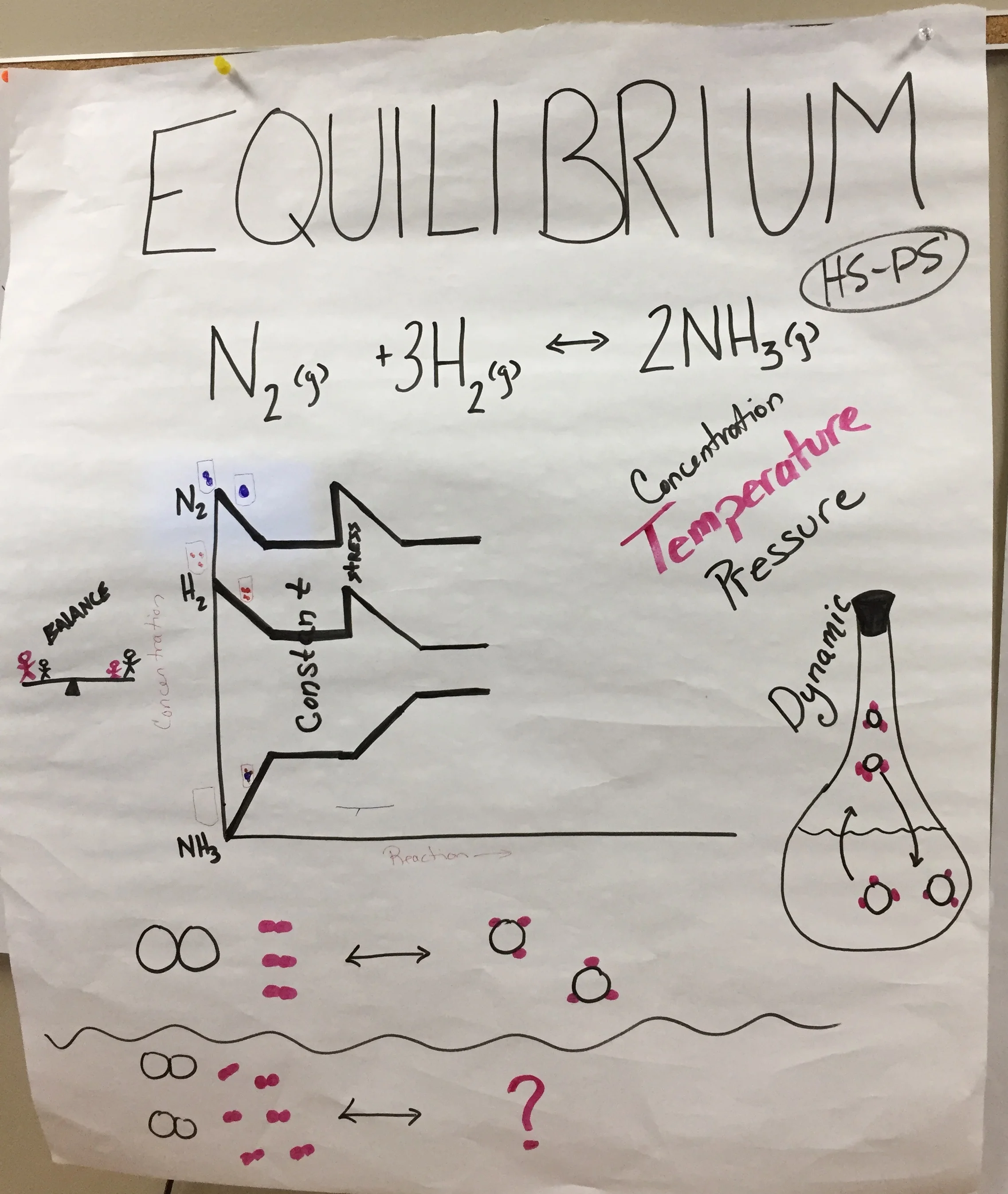 Equilibrium — The Wonder of Science