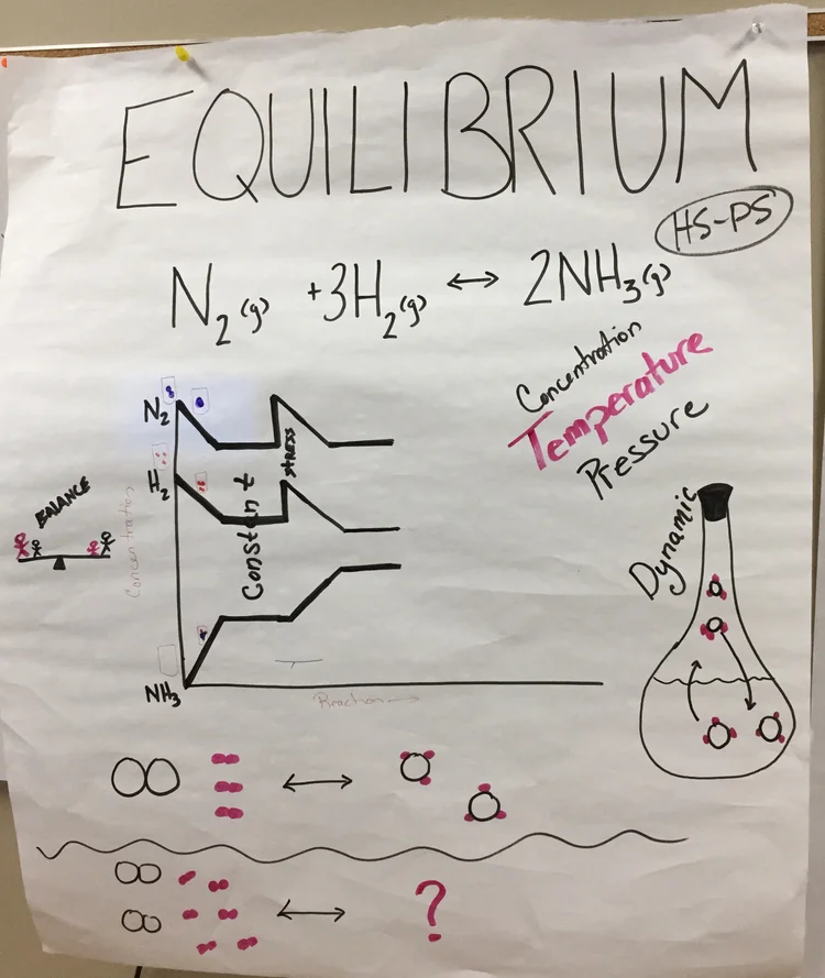 Equilibrium — The Wonder of Science