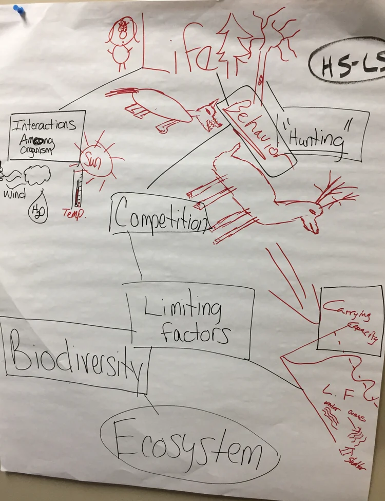 Ecosystems — The Wonder of Science