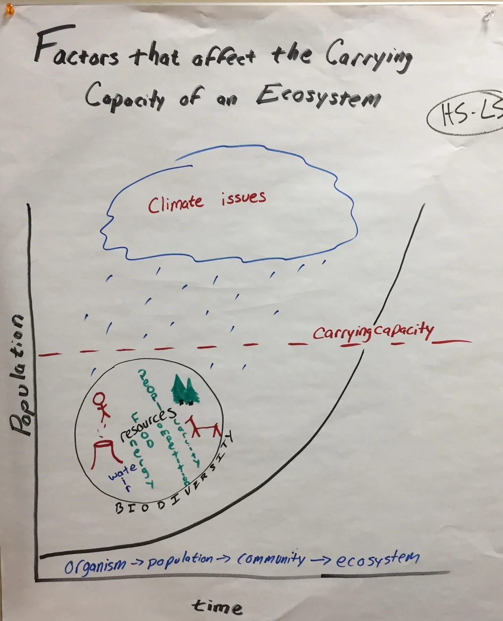 Ecosystems — The Wonder of Science