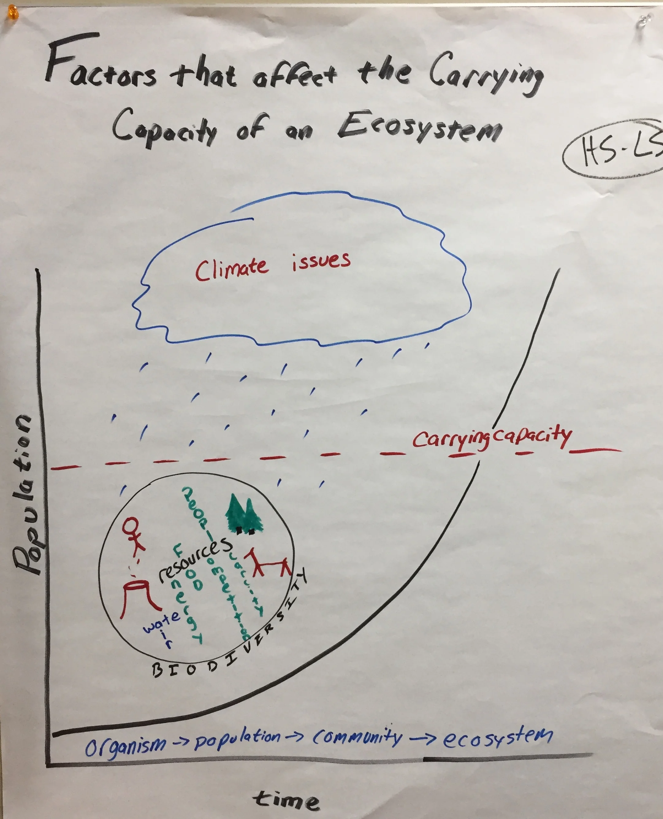 Ecosystems — The Wonder of Science