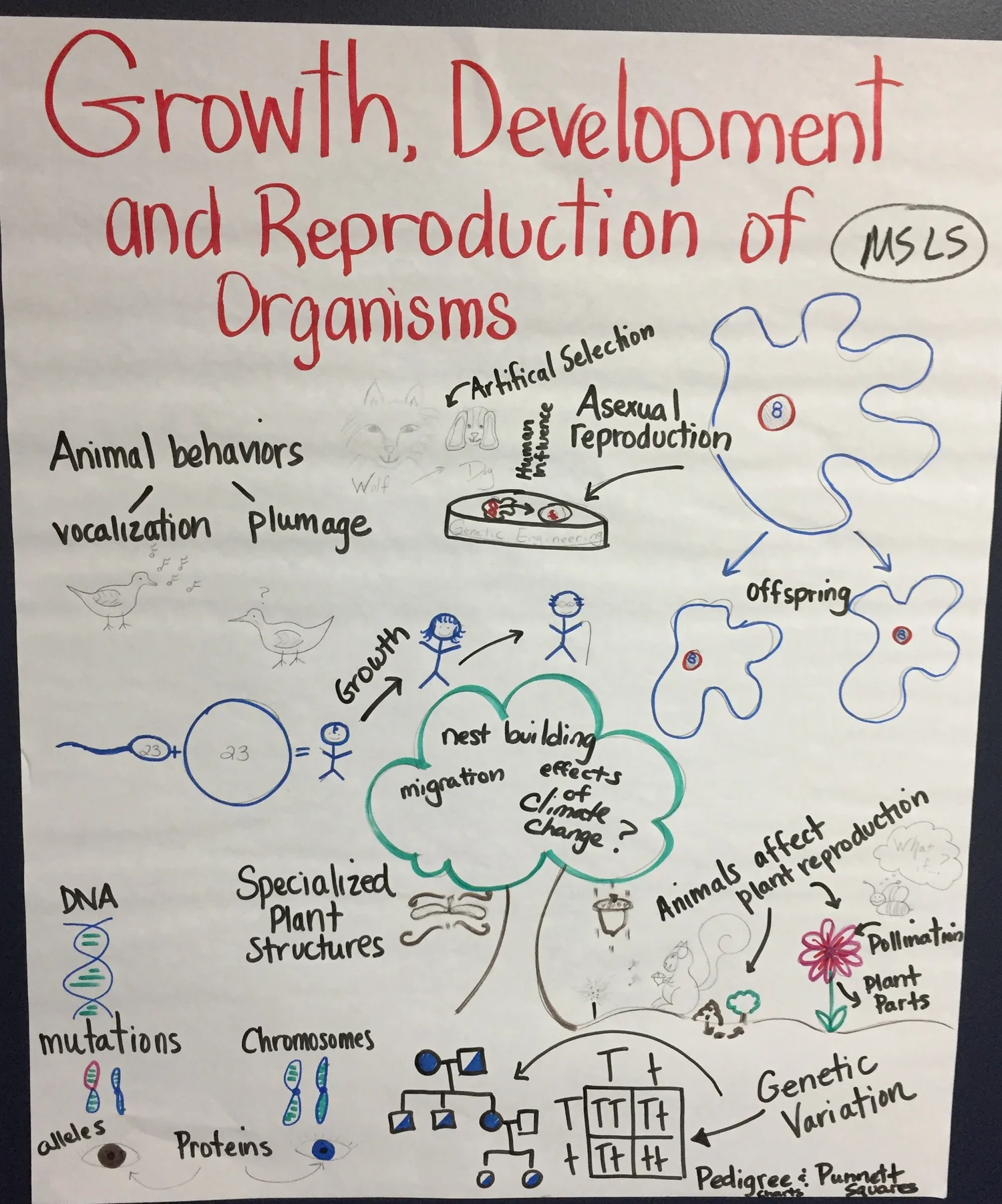 Heredity, Growth, and Development — The Wonder of Science