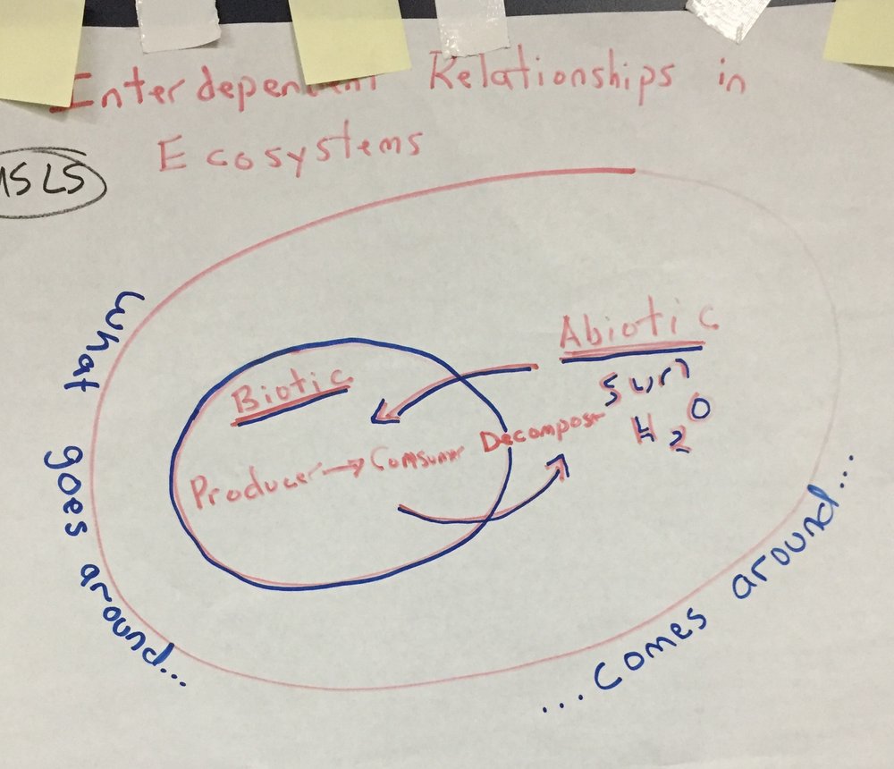Ecosystems — The Wonder of Science