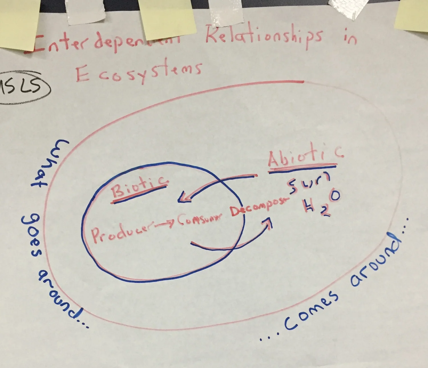 Ecosystems — The Wonder of Science