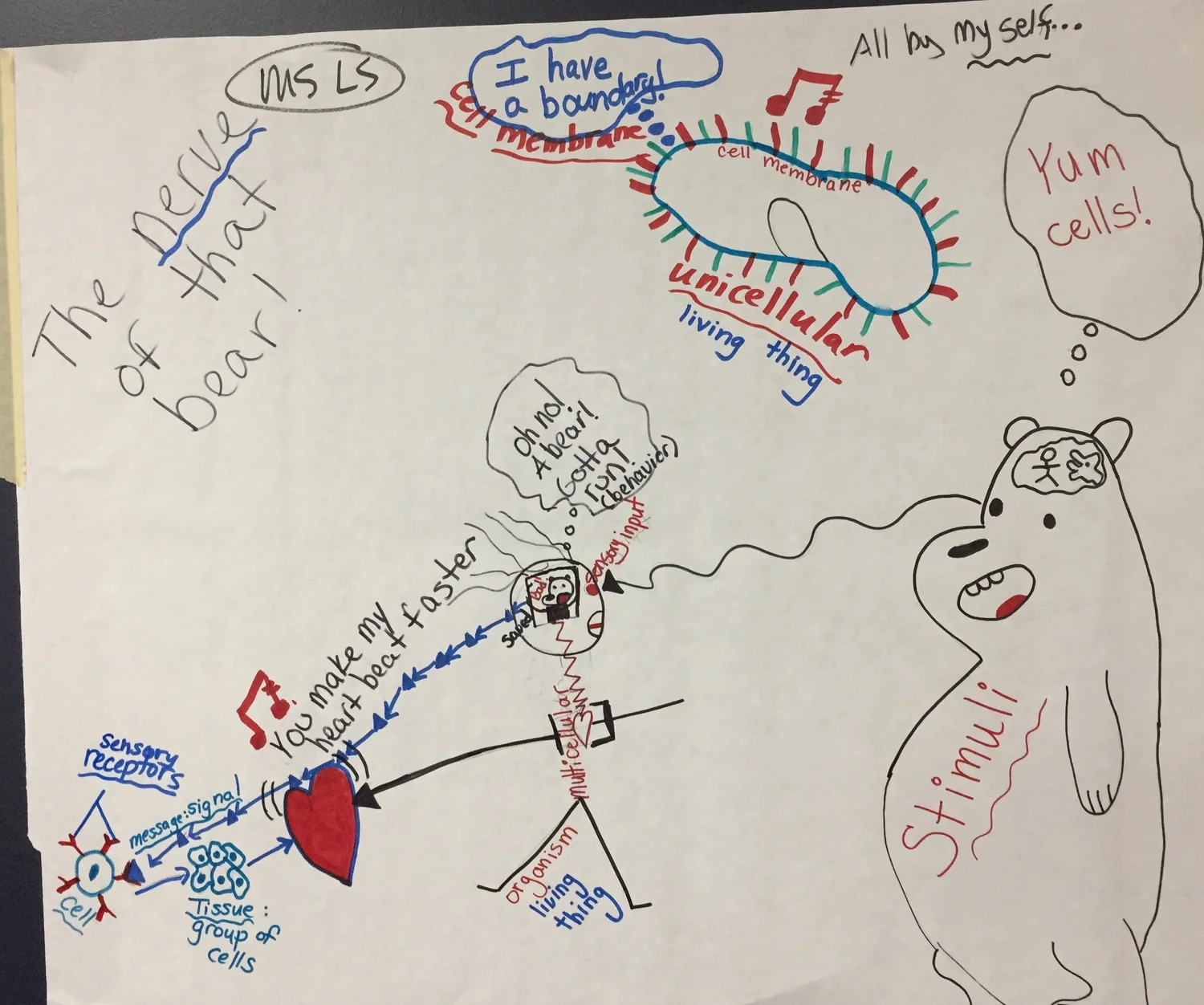 Cells to Organisms — The Wonder of Science