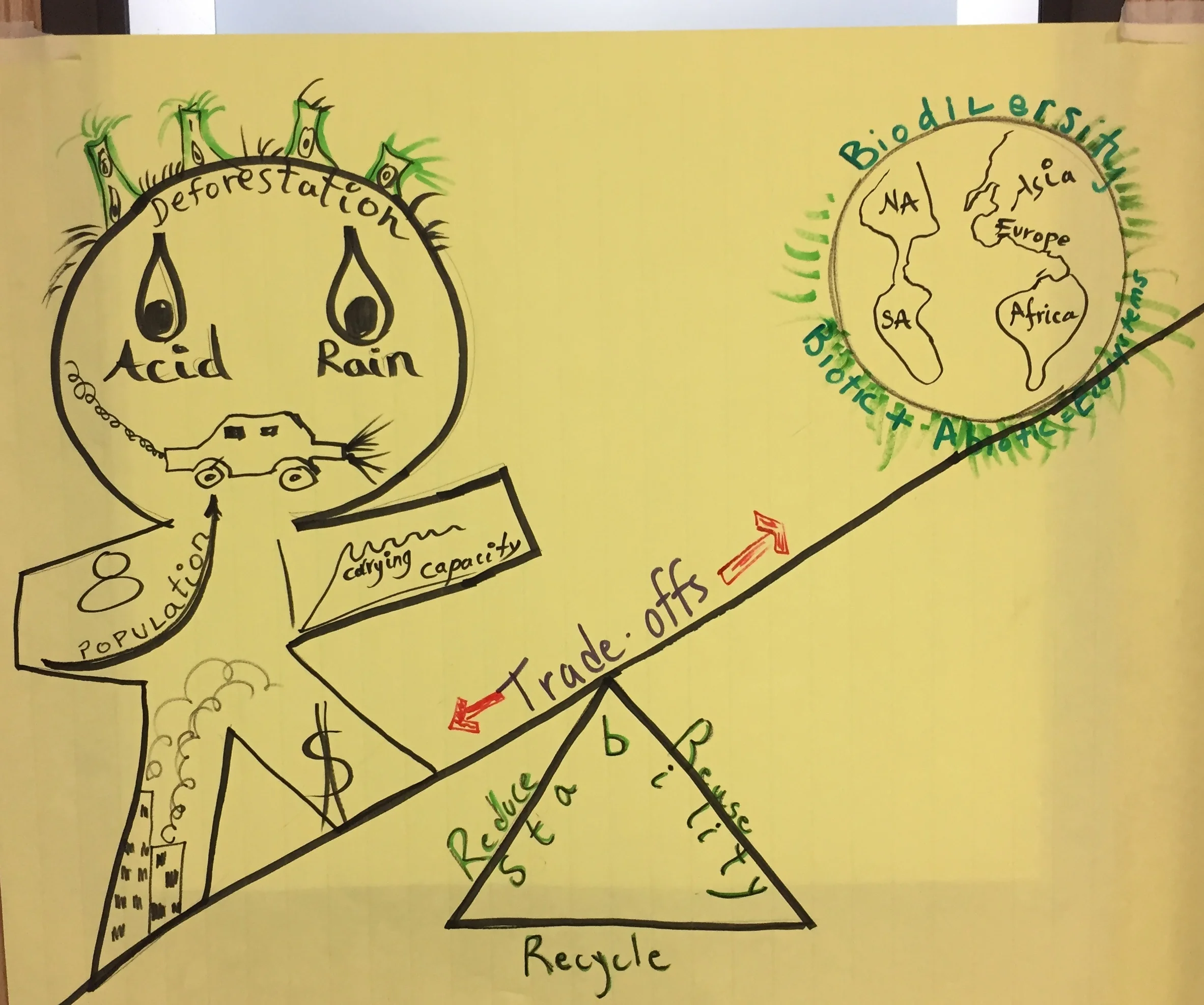 Ecosystems — The Wonder of Science