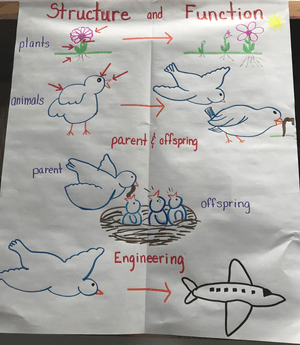 Life Structure and Function — The Wonder of Science