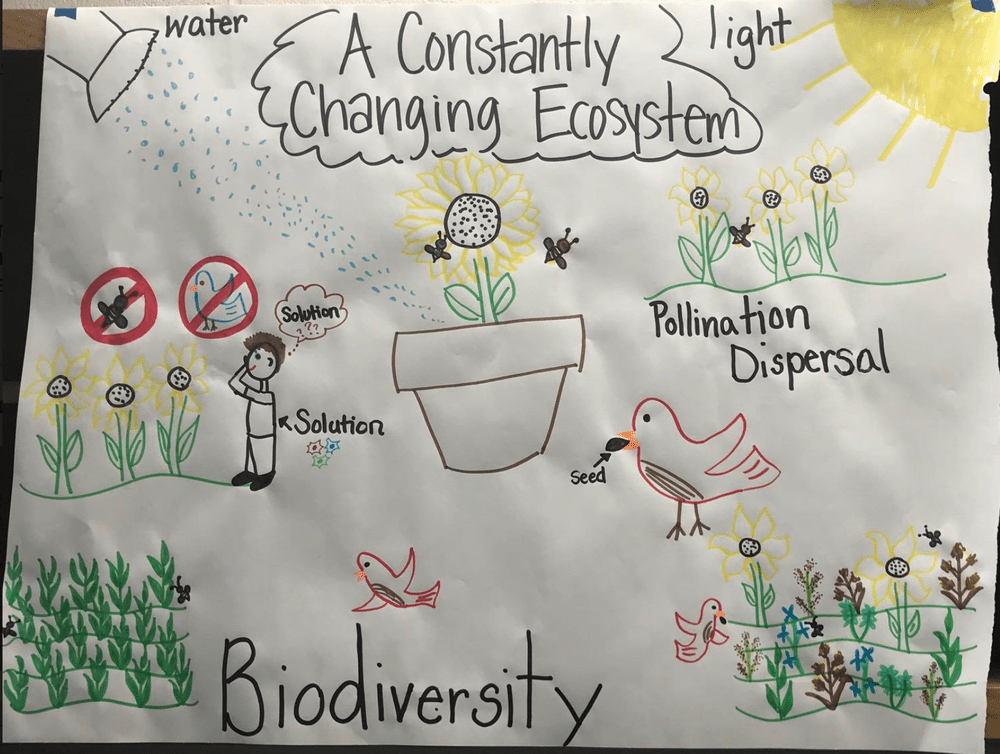 Biodiversity and Ecosystems — The Wonder of Science