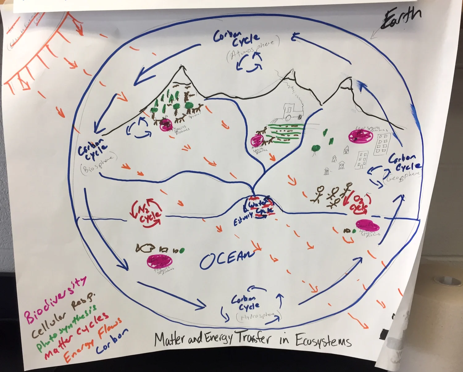 Ecosystems — The Wonder of Science