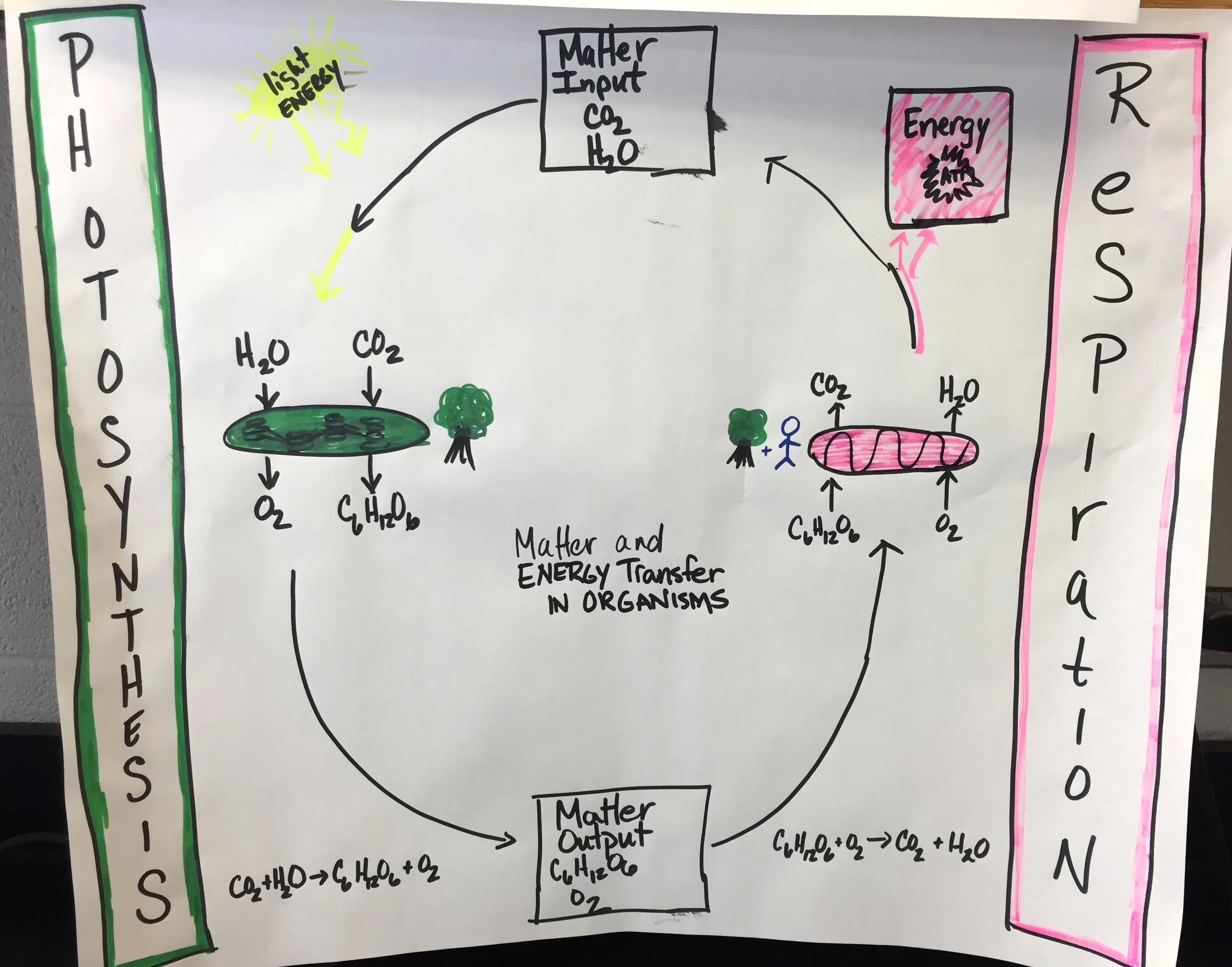 HS LS1 5 Instructional Resources The Wonder Of Science