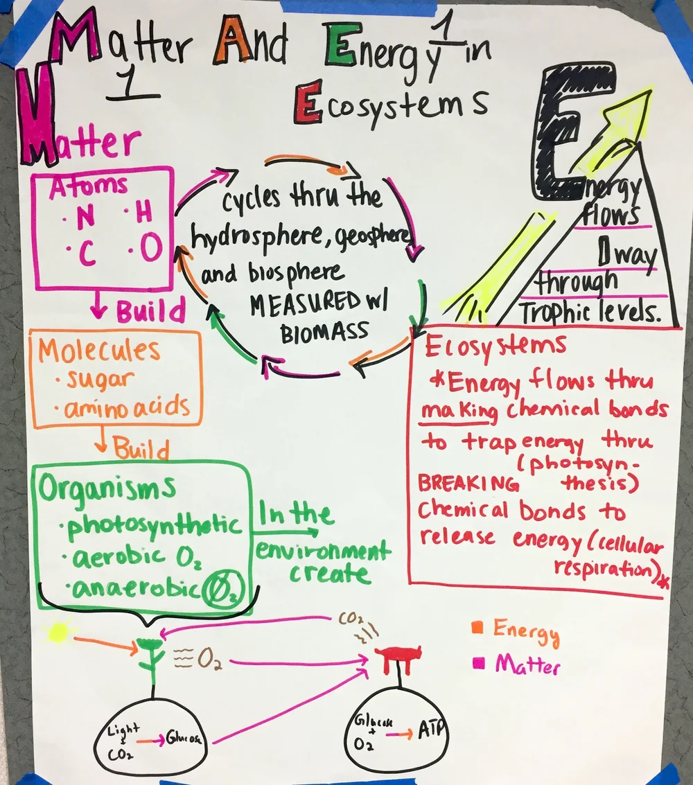 Ecosystems — The Wonder of Science