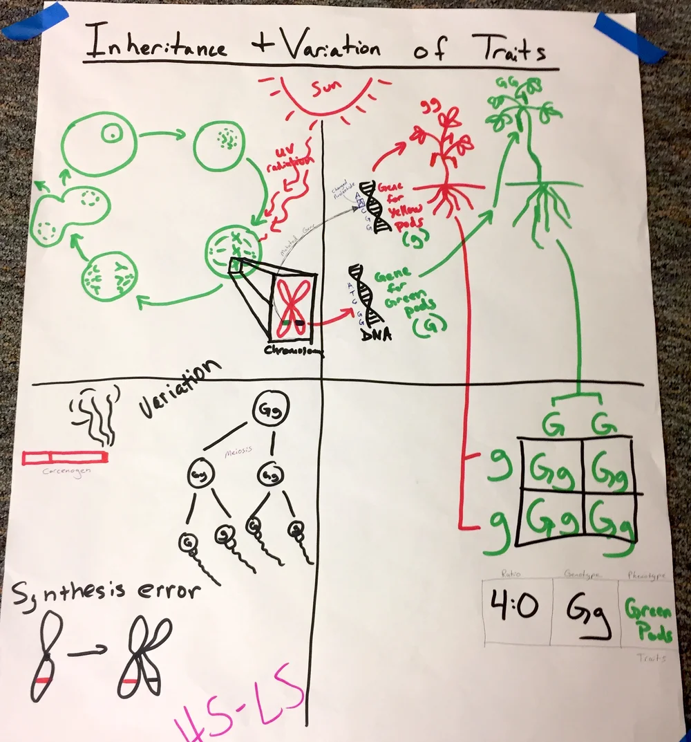 Inheritance and Variation — The Wonder of Science