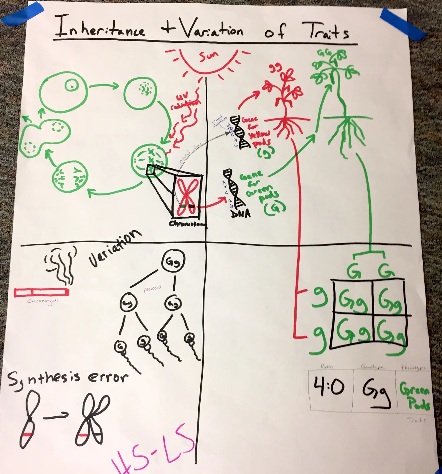 Inheritance and Variation — The Wonder of Science