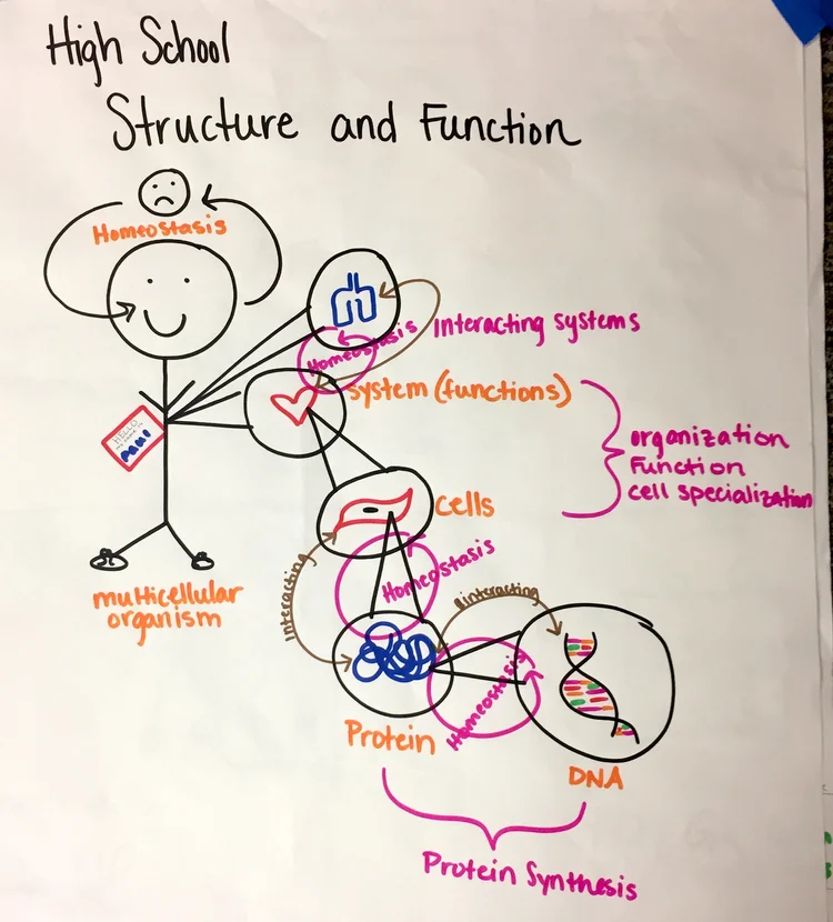 Molecules to Organisms — The Wonder of Science