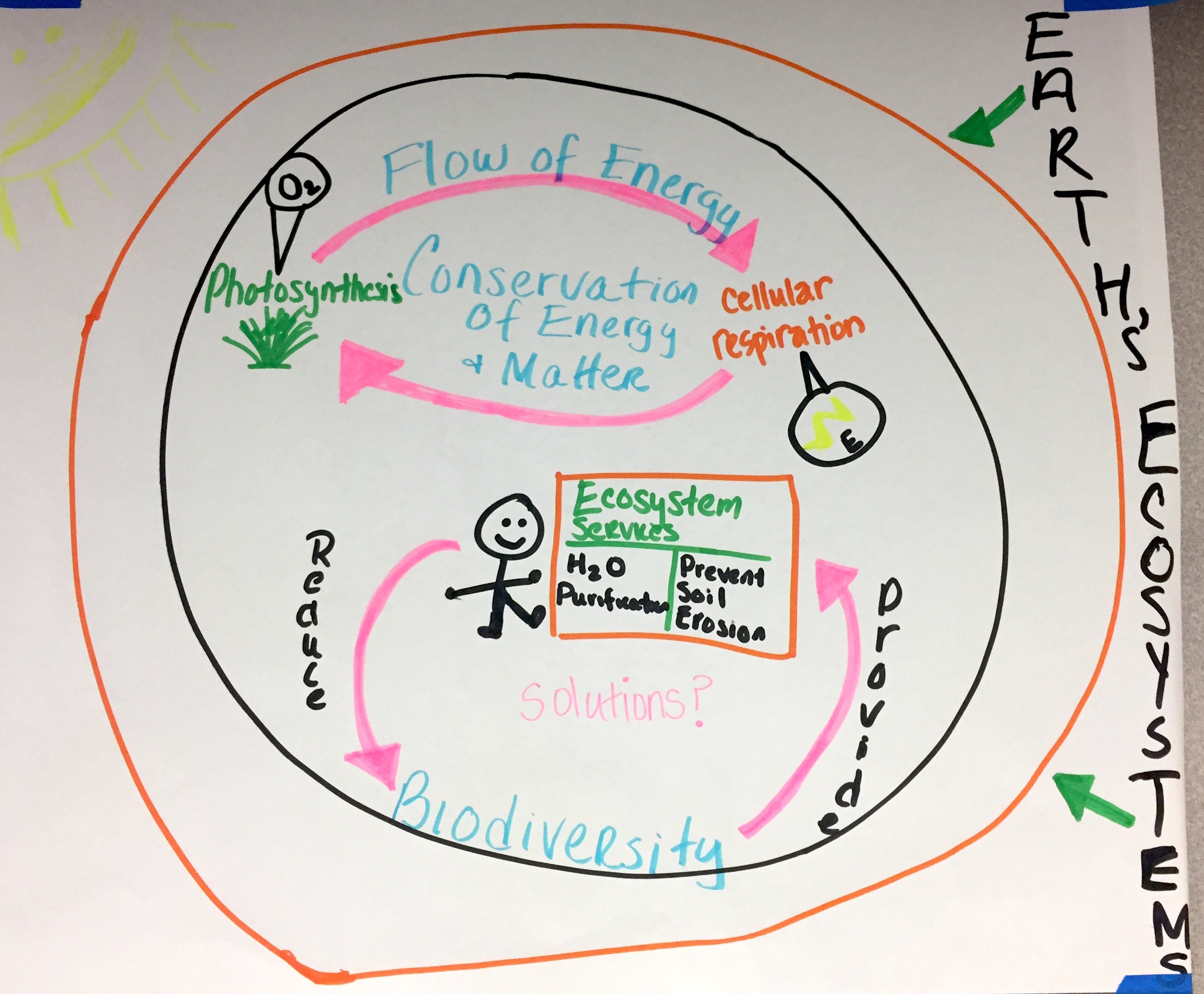 Ecosystems — The Wonder of Science