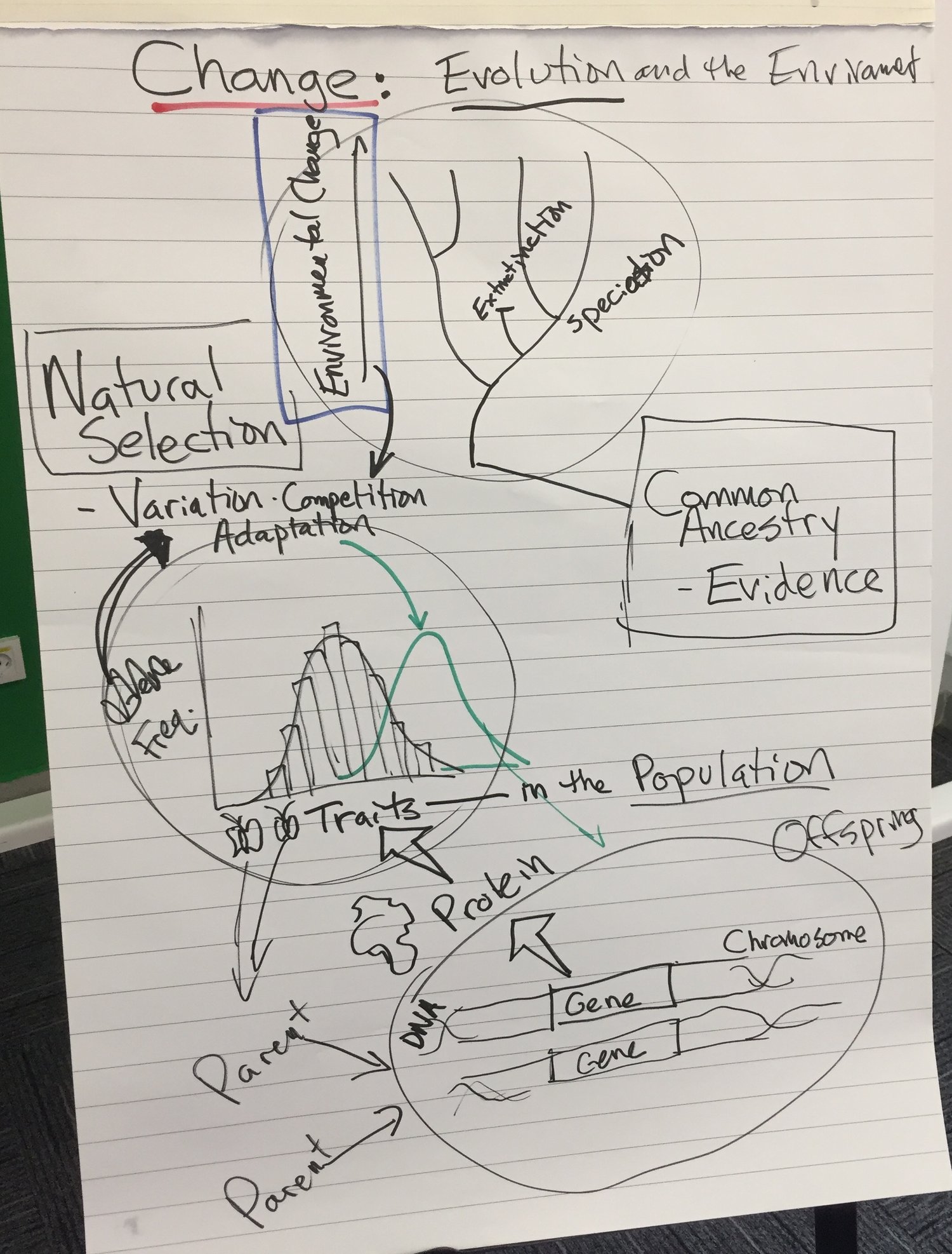 Natural Selection and Evolution — The Wonder of Science