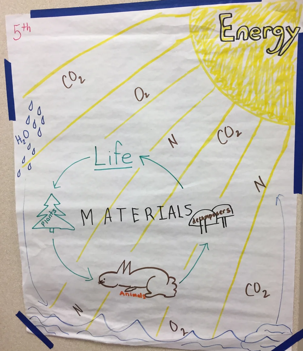 Matter and Energy in Life — The Wonder of Science