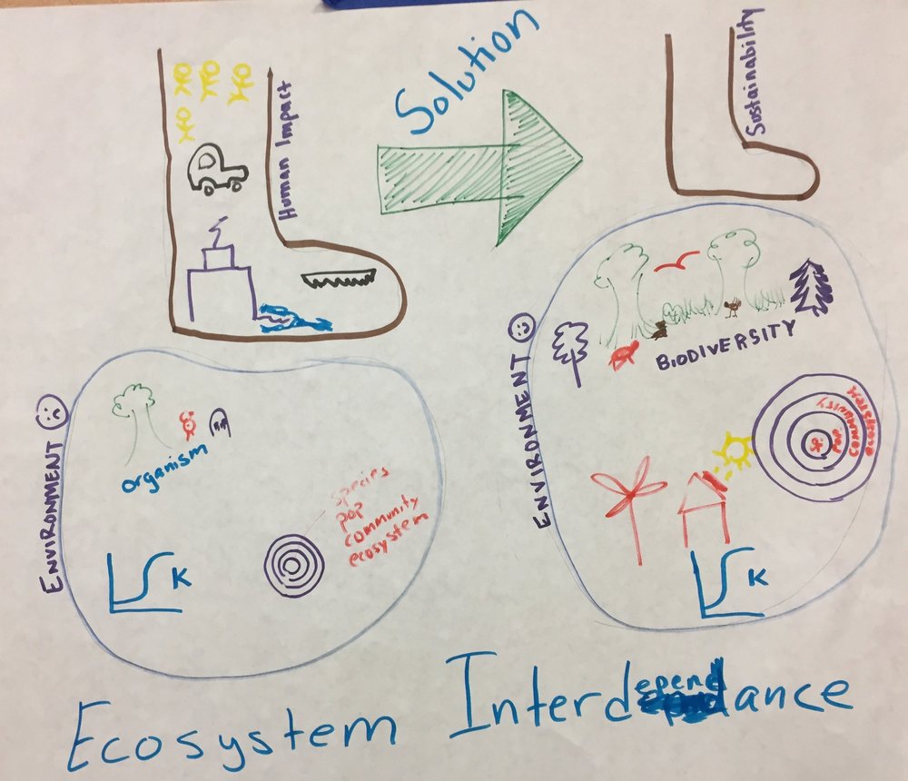 Ecosystems — The Wonder of Science