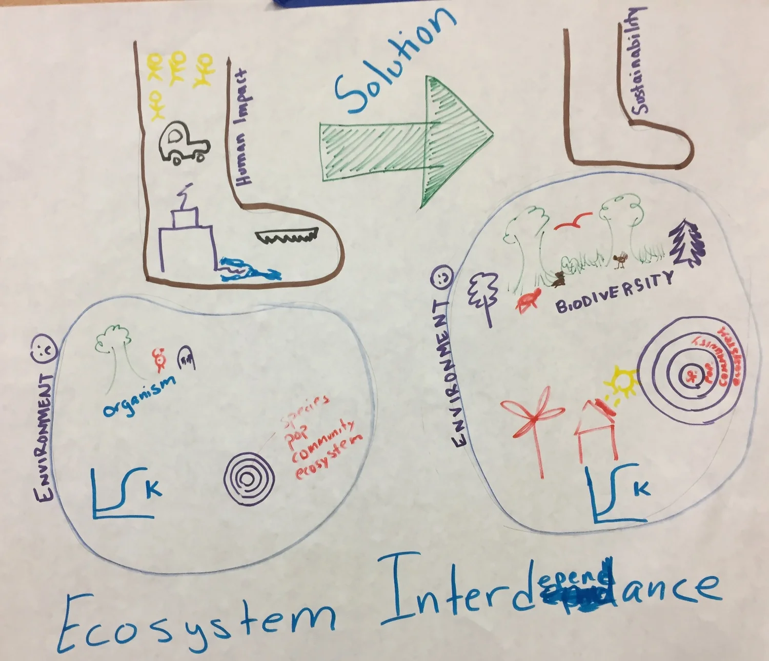 Ecosystems — The Wonder of Science