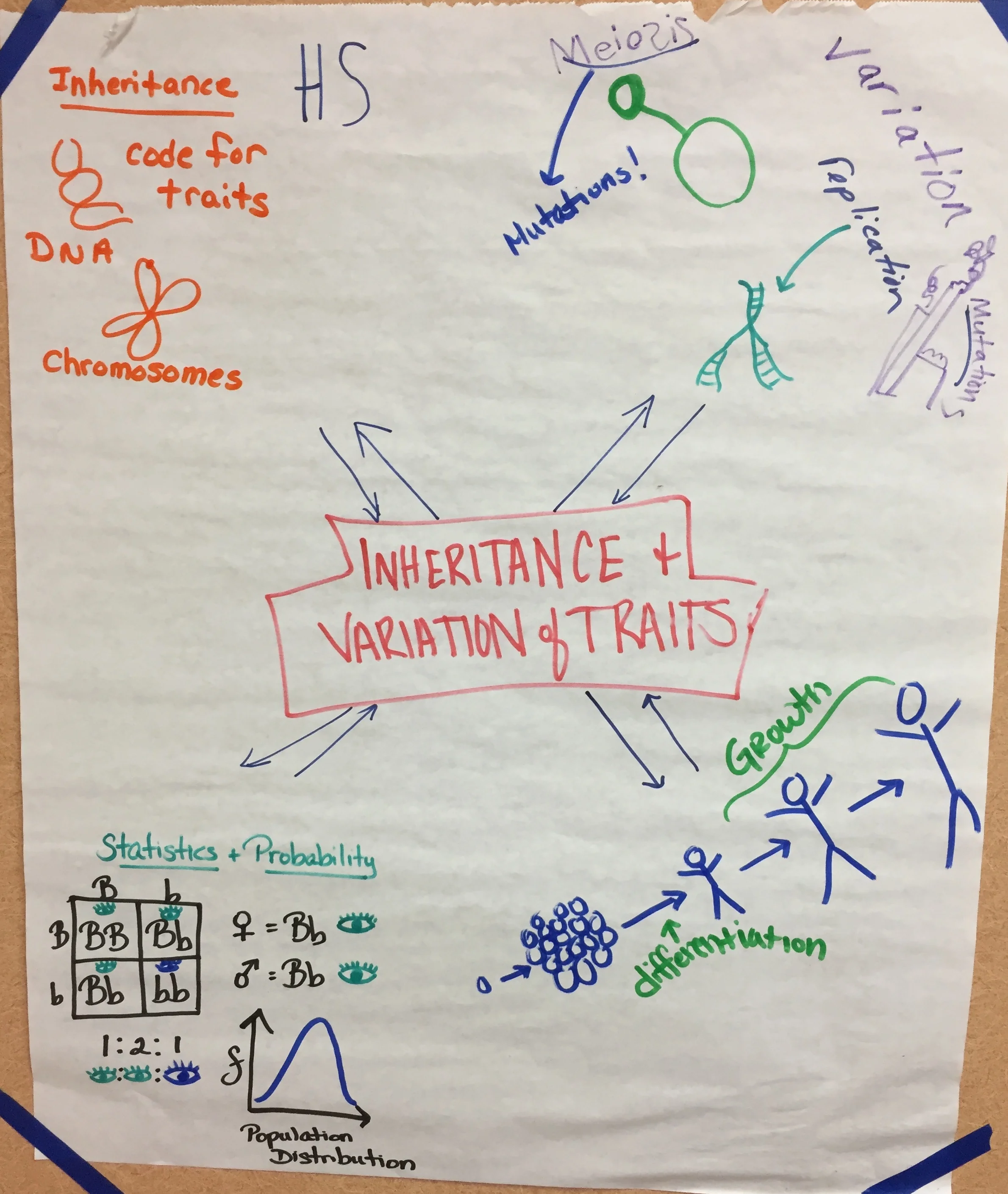 Inheritance and Variation of Traits — The Wonder of Science