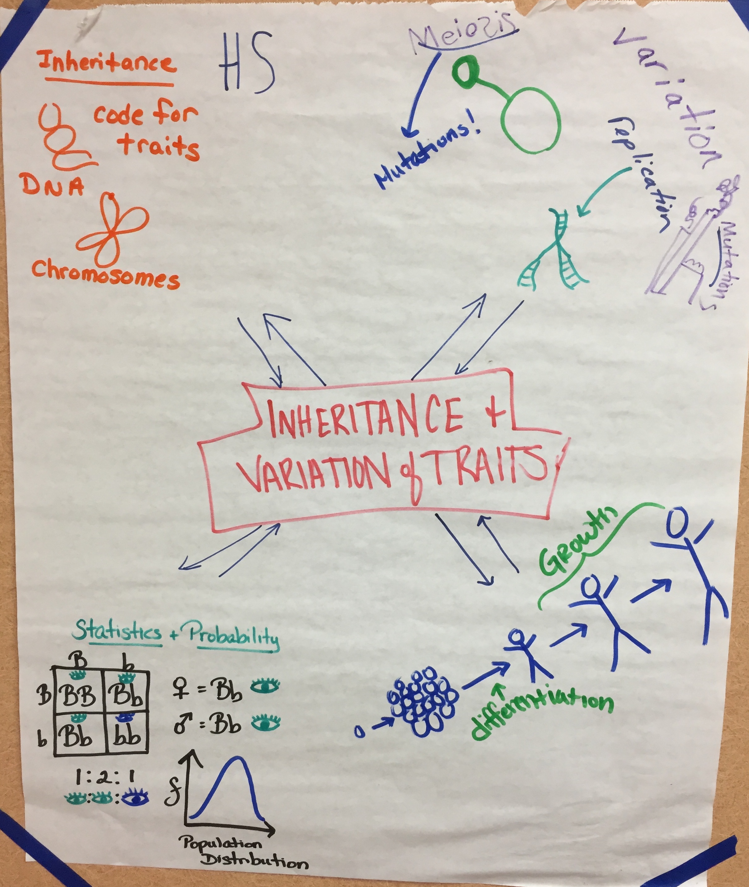 Inheritance and Variation of Traits — The Wonder of Science