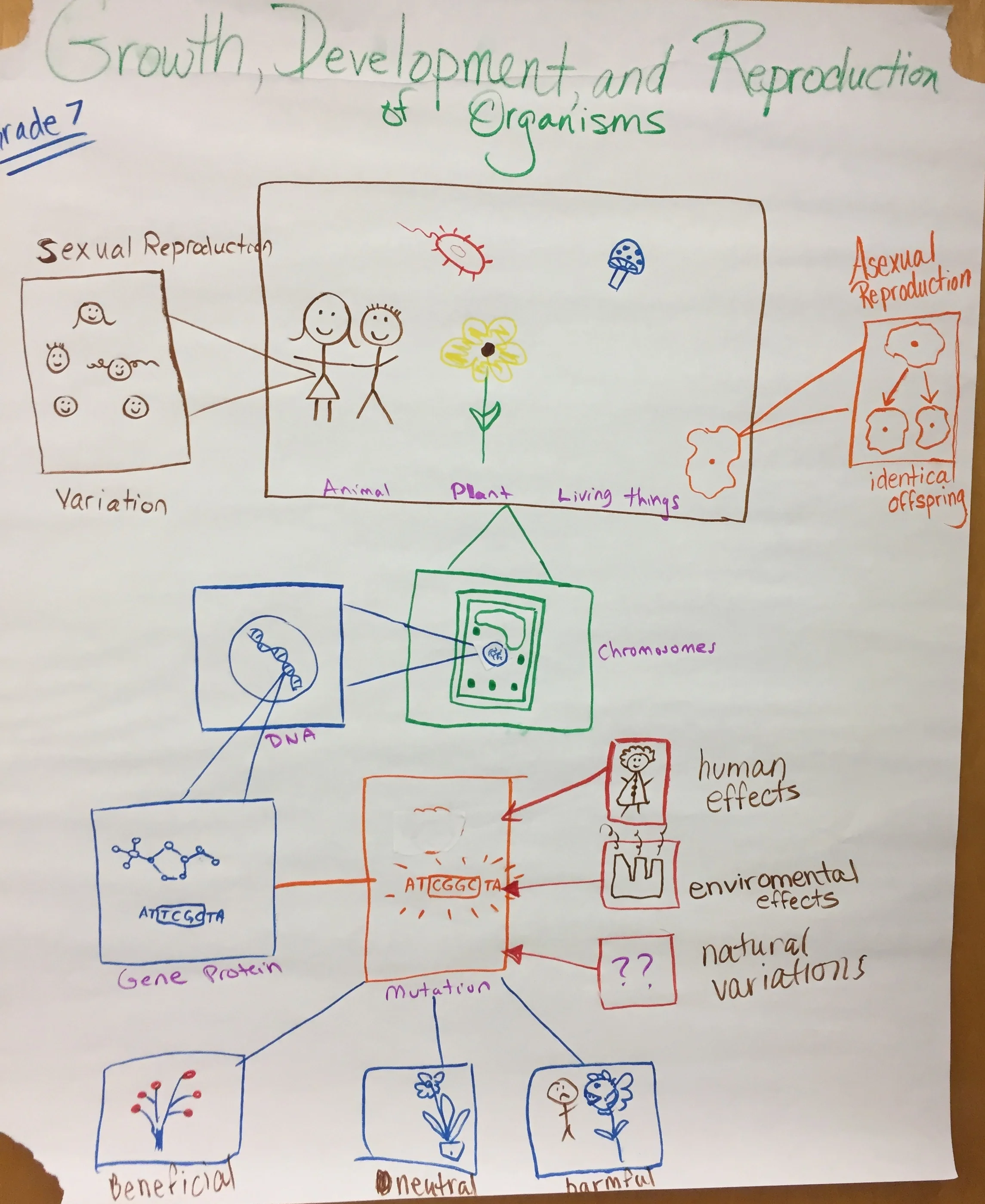Heredity, Growth, and Development — The Wonder of Science