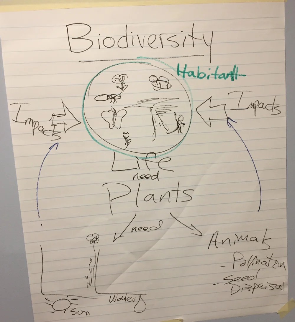 Biodiversity and Ecosystems — The Wonder of Science