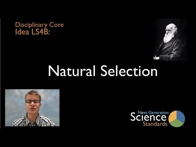 LS4.B: Natural Selection — The Wonder of Science