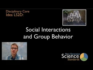 LS2.D: Social Interactions and Group Behavior — The Wonder of Science