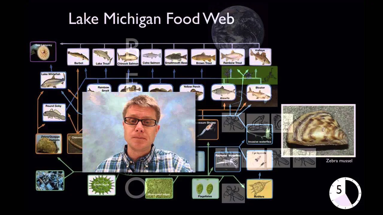 LS2.A: Interdependent Relationships in Ecosystems — The Wonder of Science