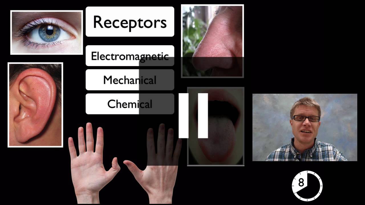 LS1.D: Information Processing — The Wonder of Science