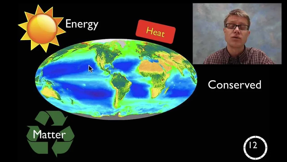 LS1.C: Organization for Matter and Energy Flow in Organisms — The ...