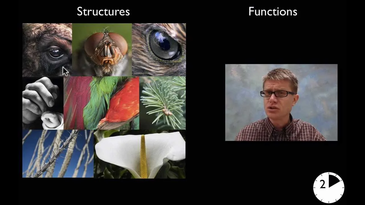 LS1.A: Structure and Function — The Wonder of Science