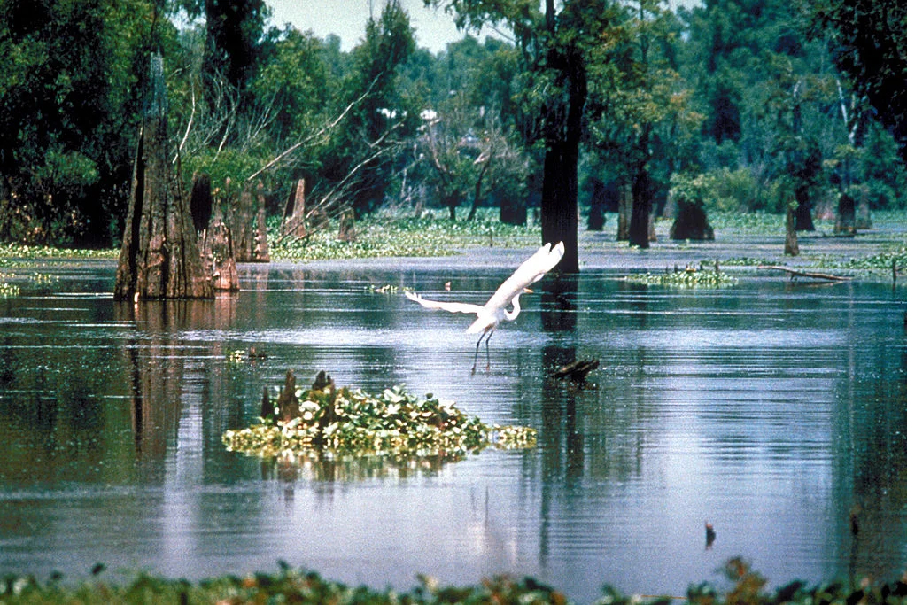 Louisiana High School Science Standards — The Wonder of Science