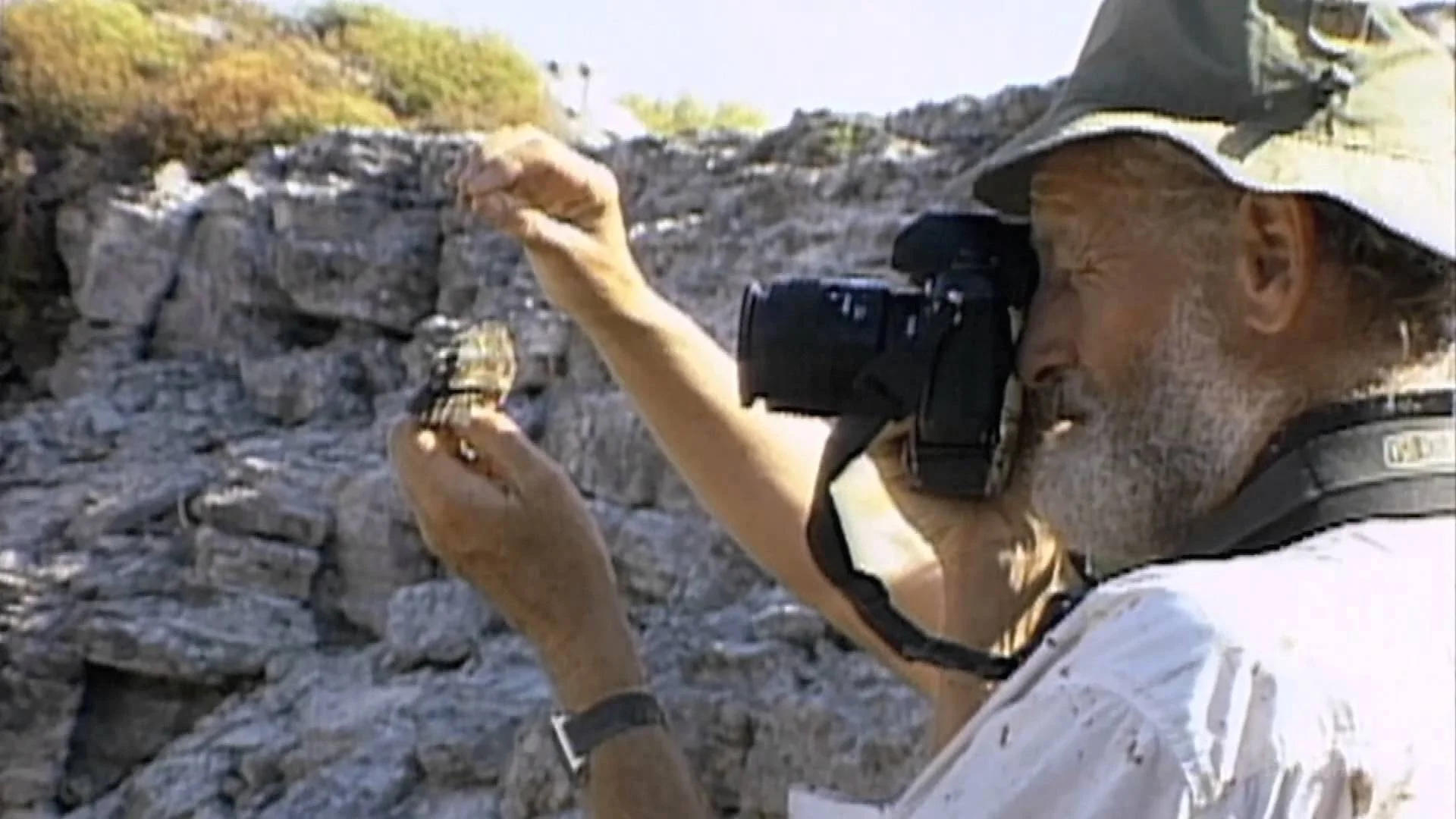 Galapagos Finch Evolution — The Wonder of Science