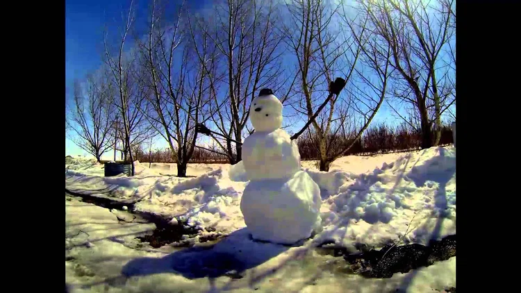 Snowman Melt Timelapse — The Wonder of Science