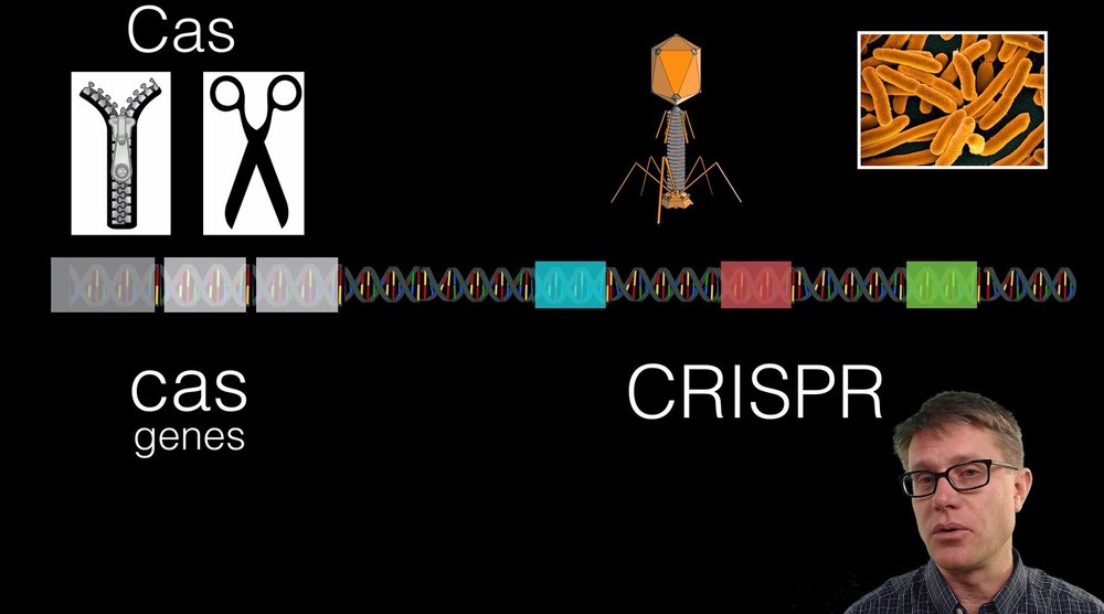 The Potential And Ethics Of CRISPR — The Wonder of Science