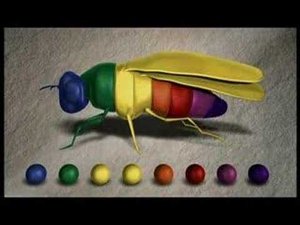 Hox Genes — The Wonder of Science