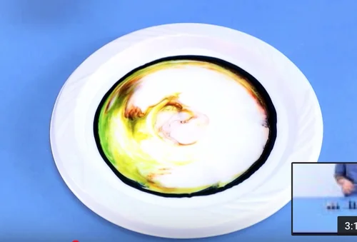 Milk and Soap Experiment — The Wonder of Science