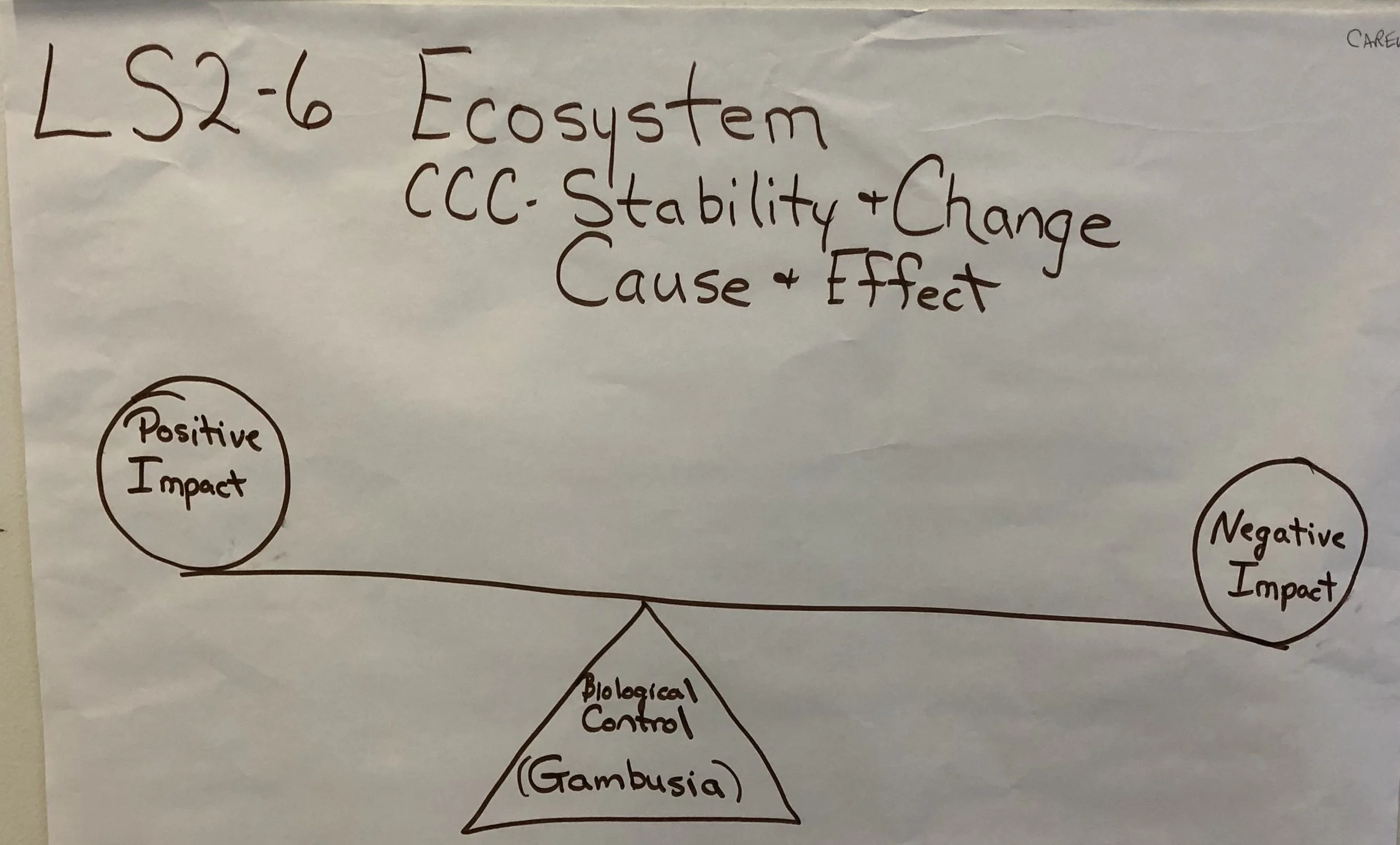 Ecosystem Dynamics, Functioning, and Resilience — The Wonder of Science